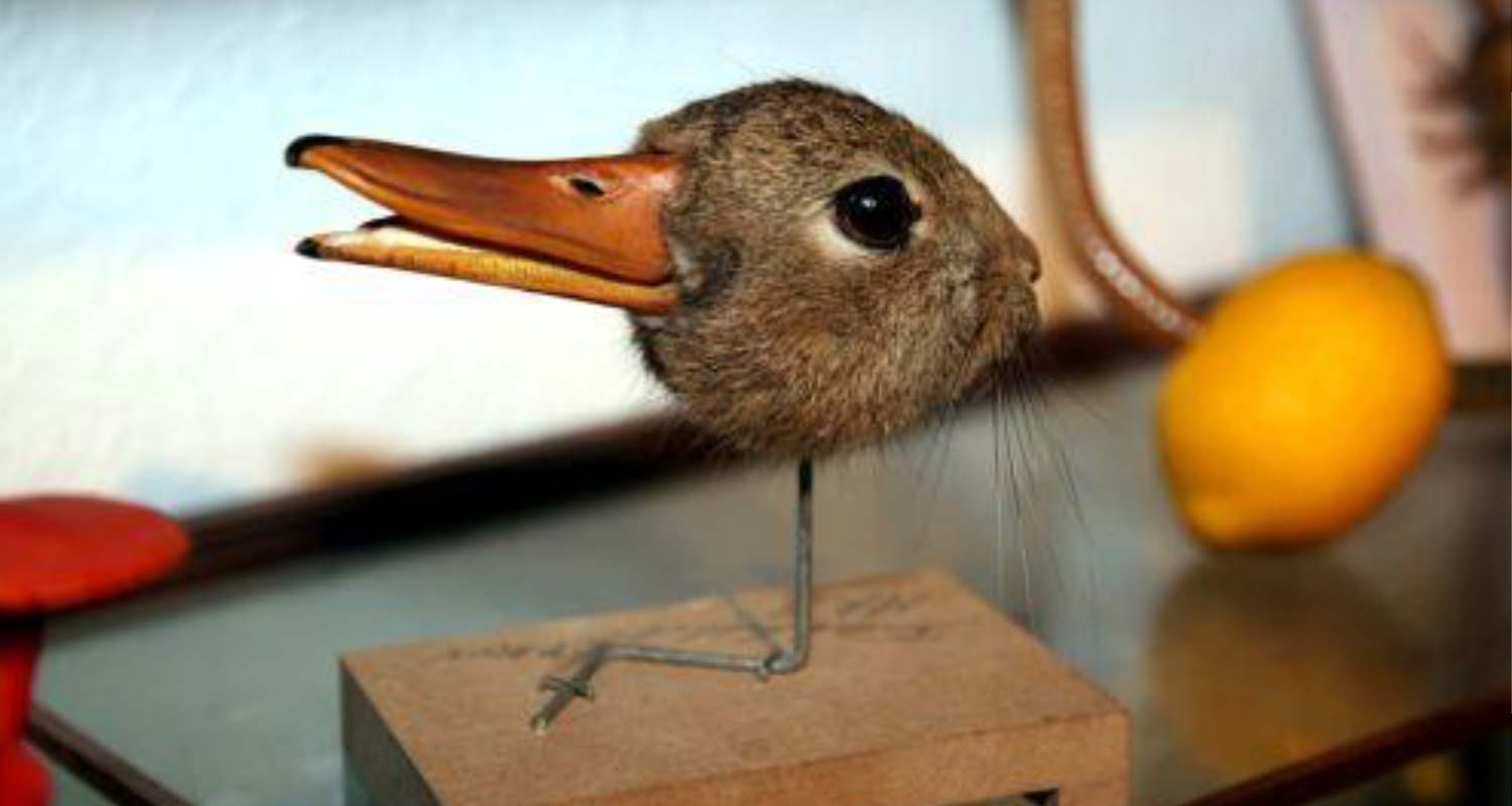 閭 How Creative Are You? - Marketing Agency Chester